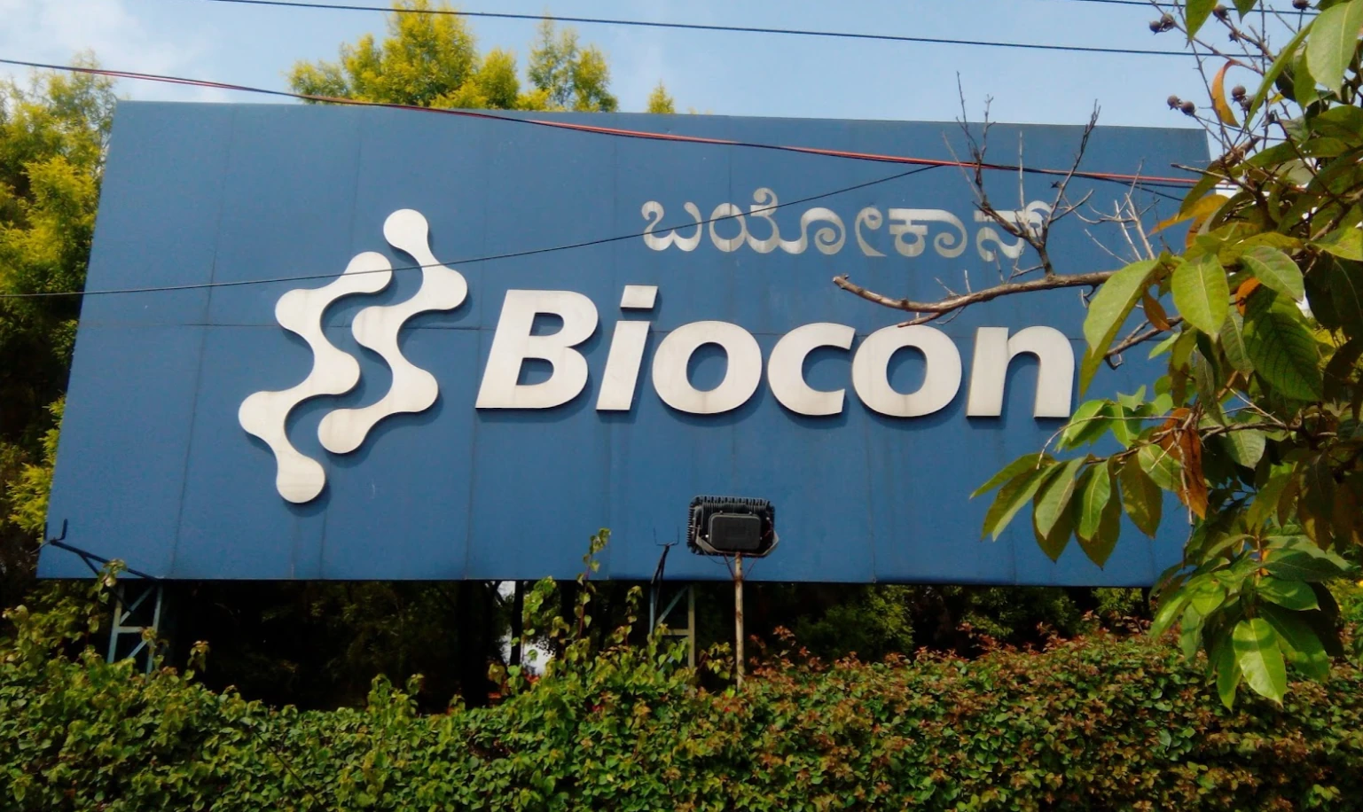 Biocon Careers 2024: Hiring for IT - Fresher